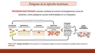 Patogenia de la infección bacteriana y Resistencia.pptx