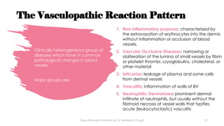 Tissue Reaction Patterns in Dermatopathology | PPTX