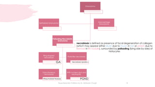 Tissue Reaction Patterns in Dermatopathology | PPTX