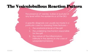 Tissue Reaction Patterns in Dermatopathology | PPTX