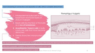 Tissue Reaction Patterns in Dermatopathology | PPTX
