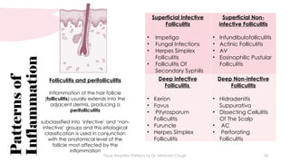 Tissue Reaction Patterns in Dermatopathology | PPTX