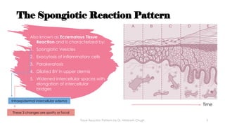 Tissue Reaction Patterns in Dermatopathology | PPTX