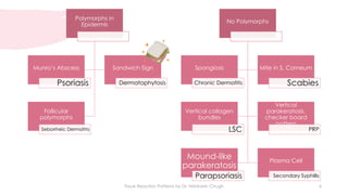 Tissue Reaction Patterns in Dermatopathology | PPTX