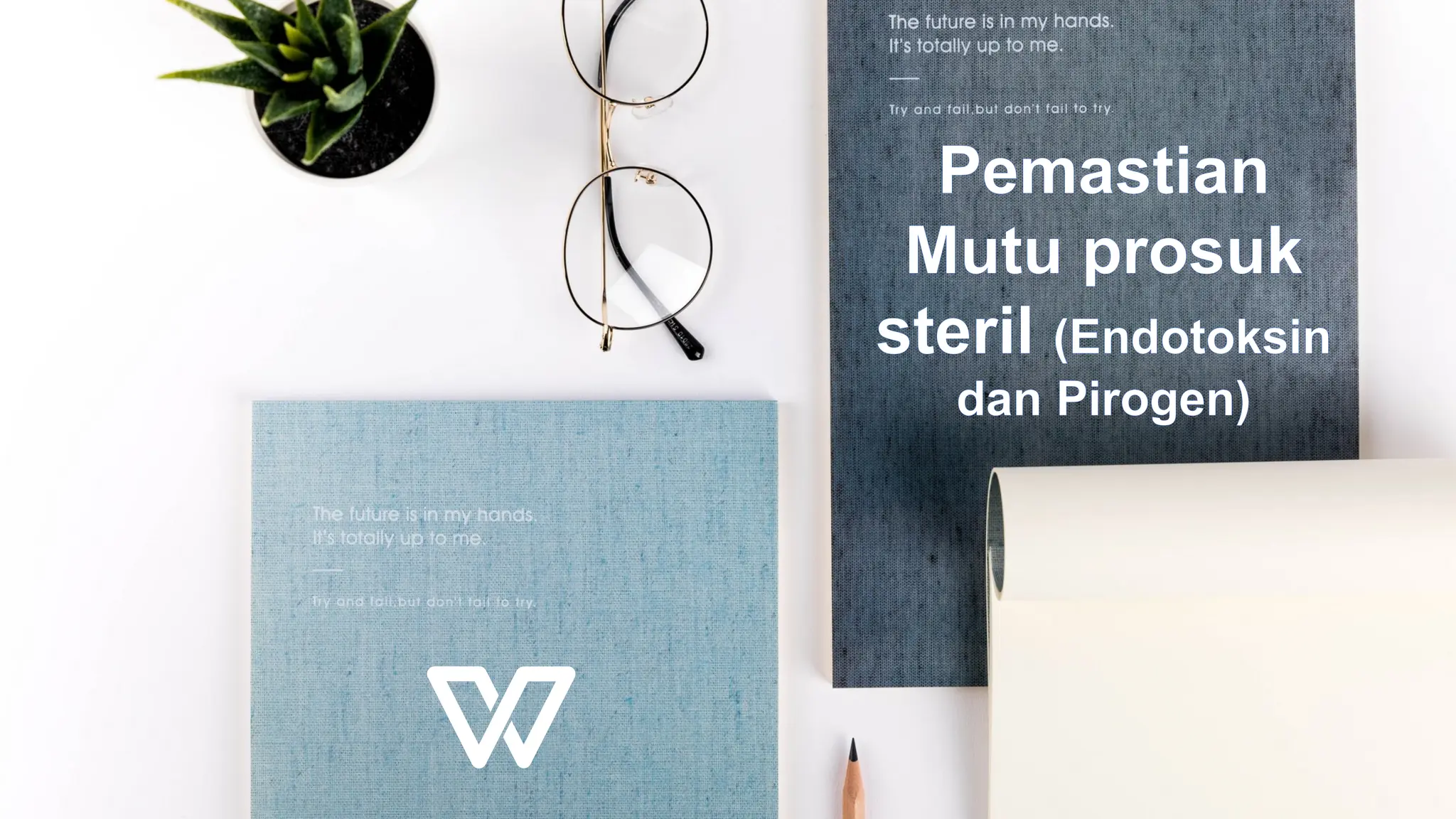 12. pertemuan Edotoksin dan pirogen.pptx