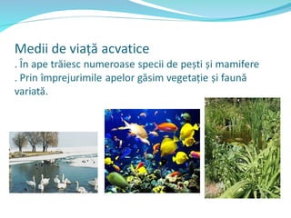 apa in natura circuit si importanta sa ppt | PPT