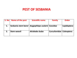 Pest of sun hemb green manure daincha Lucerne subacute and guricidia | PPTX
