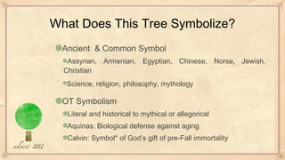 Tree of Life | PPT