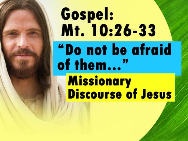(Homily Illustration) 12th Sunday in Ordinary Time Cycle A | PPT