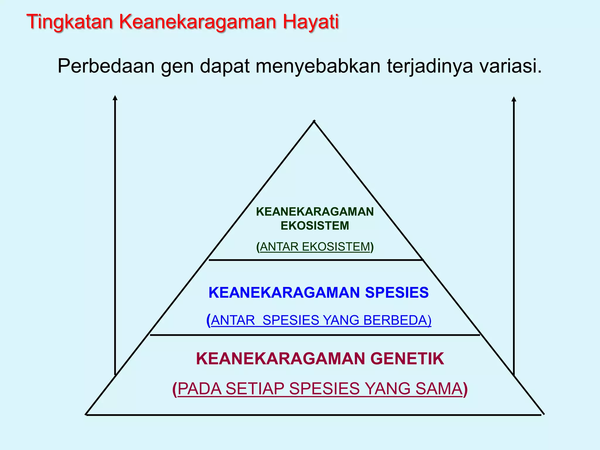 biologi konservasi | PPTX