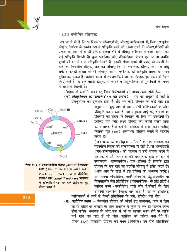 12 biology-ncert-hindi-medium-chapter (11)
