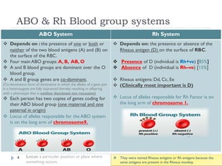 12- Blood Groups .pdf