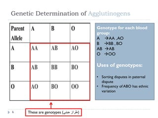 12- Blood Groups .pdf