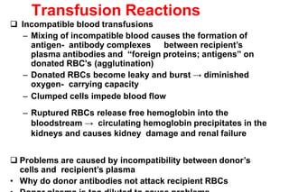 12- Blood Groups and Blood Transfusion 2018-converted.pptx