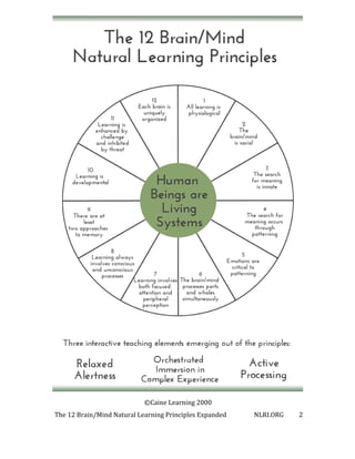 12 brainmind-principles-expanded | PDF