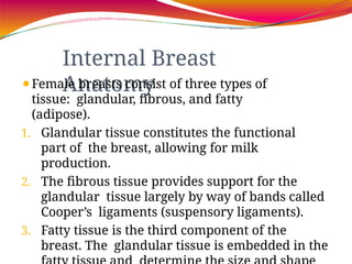 Health Assessment: Breast and Axillae Assessment.pptx