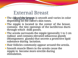 Health Assessment: Breast and Axillae Assessment.pptx