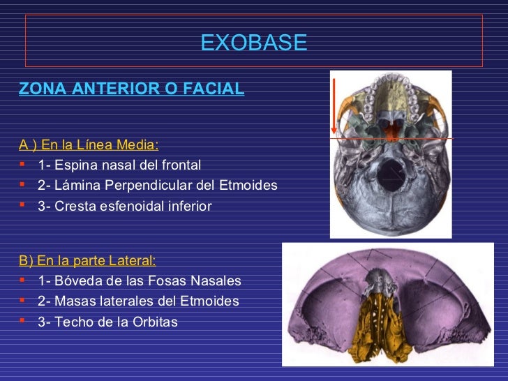 Exobase