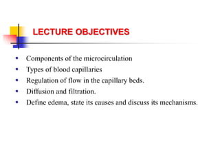 Capillary Circulation | PPT