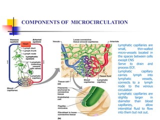 Capillary Circulation | PPT