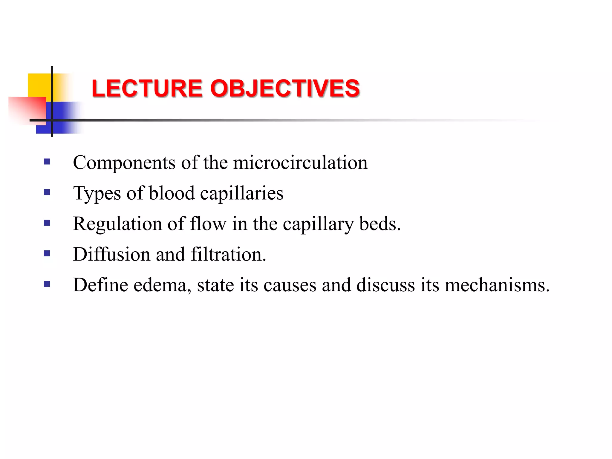 capillary Circulation | PPT