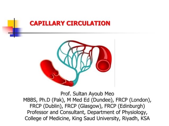 capillary Circulation | PPT