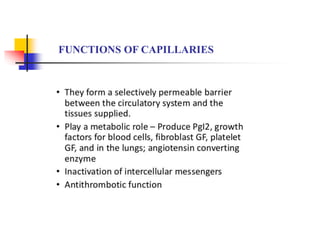 capillary Circulation | PPT