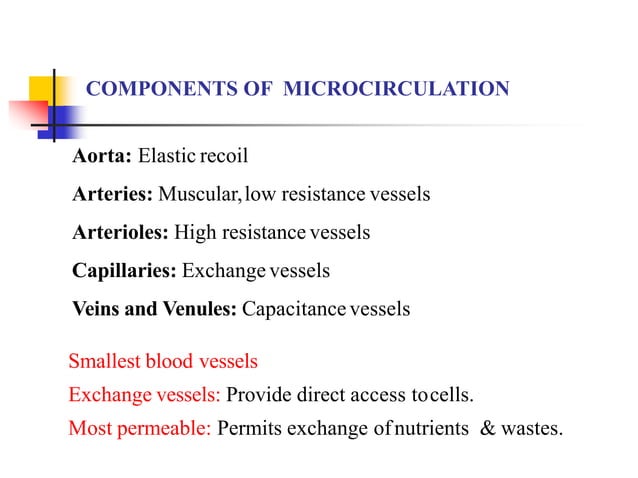 capillary Circulation | PPT
