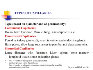 capillary Circulation | PPT