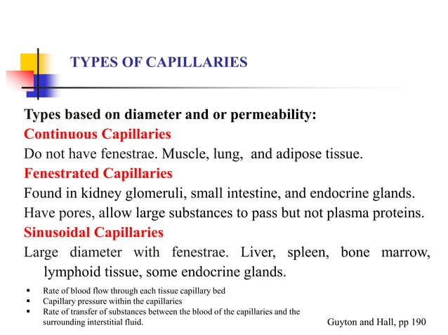 capillary Circulation | PPT