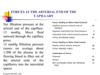 capillary Circulation | PPT