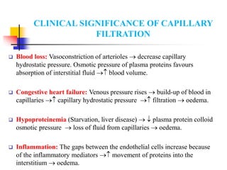 capillary Circulation | PPT