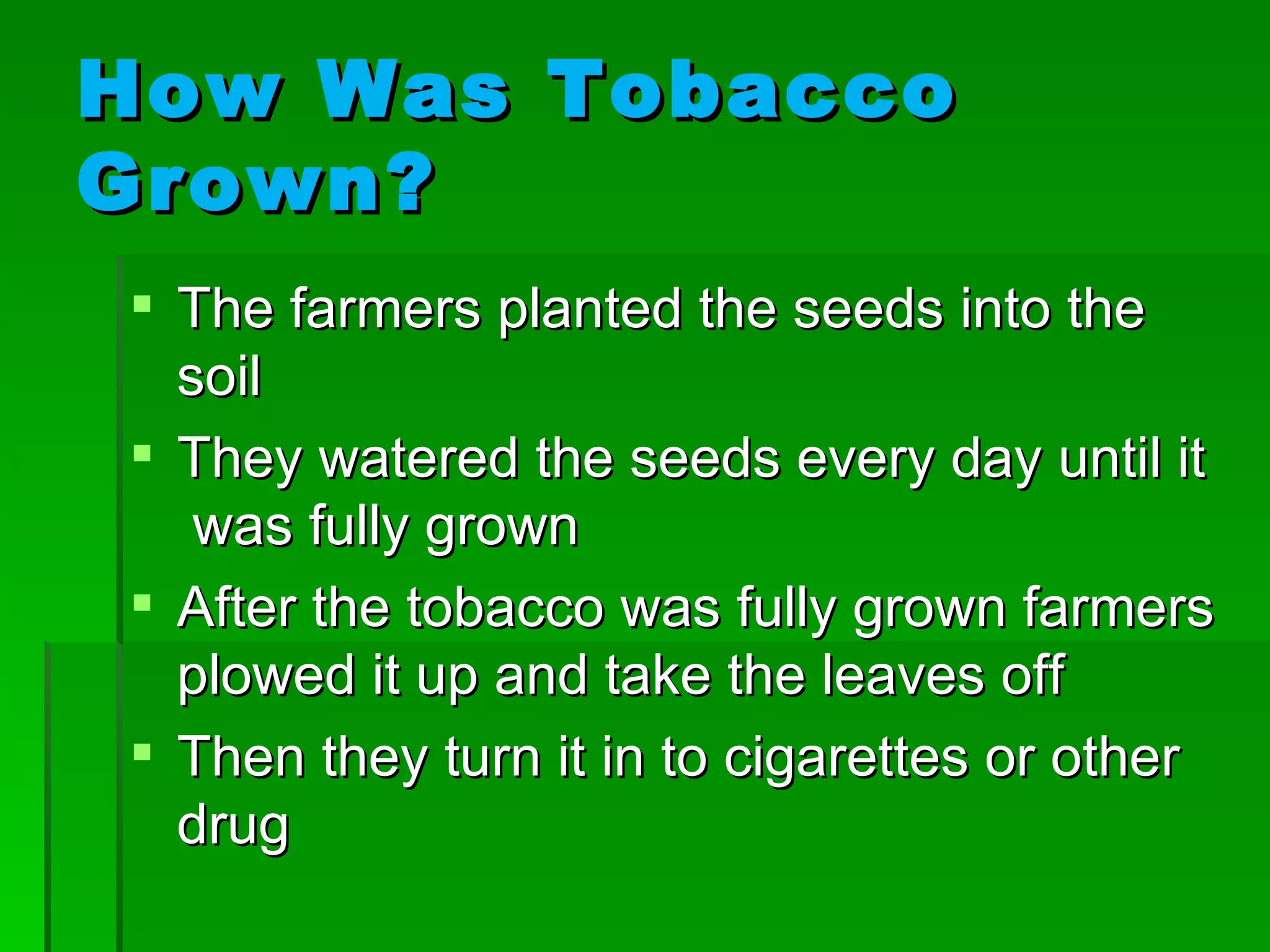 12 Cash Crops From The Thirteen Colonies | PPT