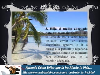 como controlar la ira en el trabajo | PDF