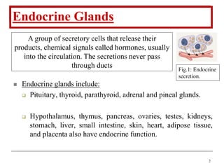12 - Endocrine System.pptx | Thyroid Disorders | Endocrine and ...