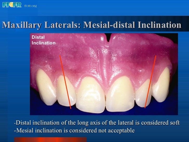 12.esthetics&characterization