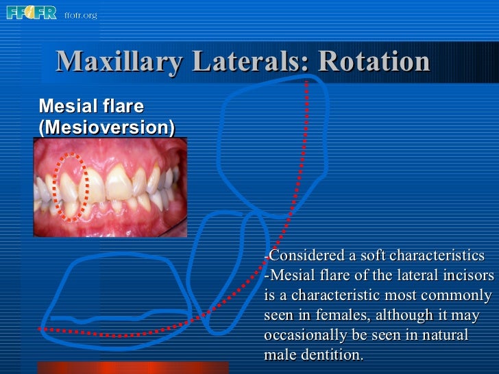 12.esthetics&characterization
