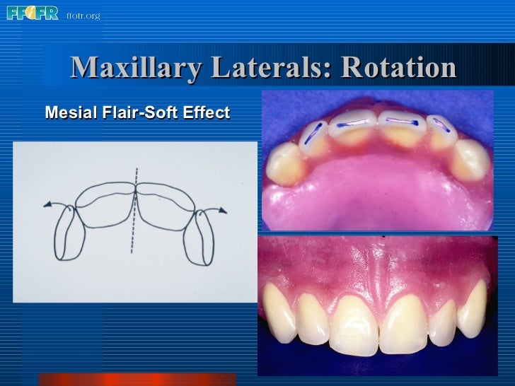 12.esthetics&characterization