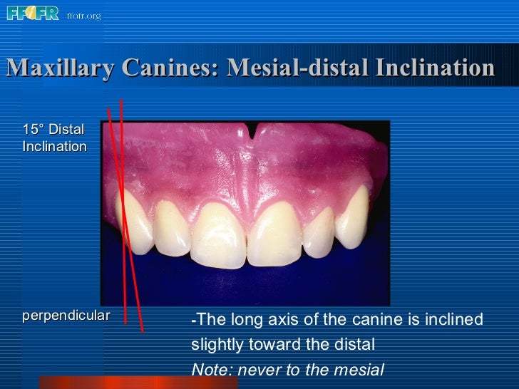 12.esthetics&characterization