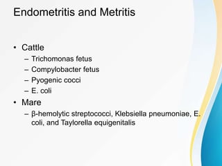 Veterinary Pathology of The Female Genital System | PPT