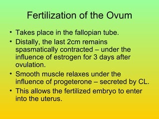 12.fertilization pregnancy and_lactation | PPT