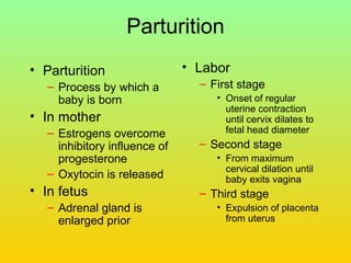 12.fertilization pregnancy and_lactation | PPT
