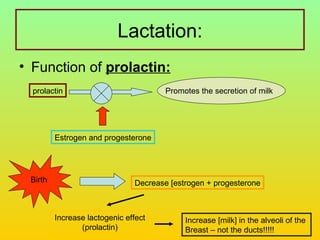 12.fertilization pregnancy and_lactation | PPT