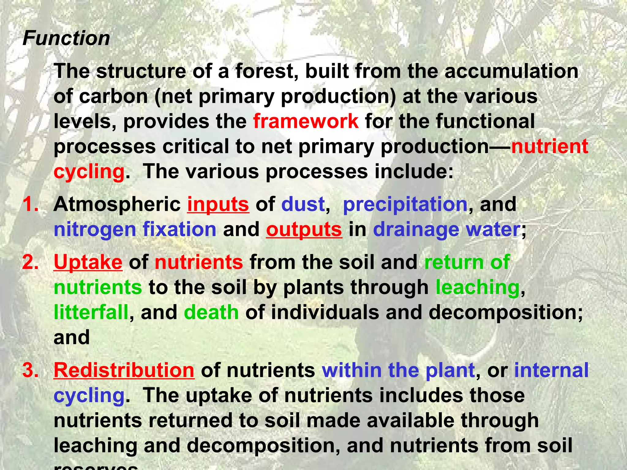 12 forests | PPT