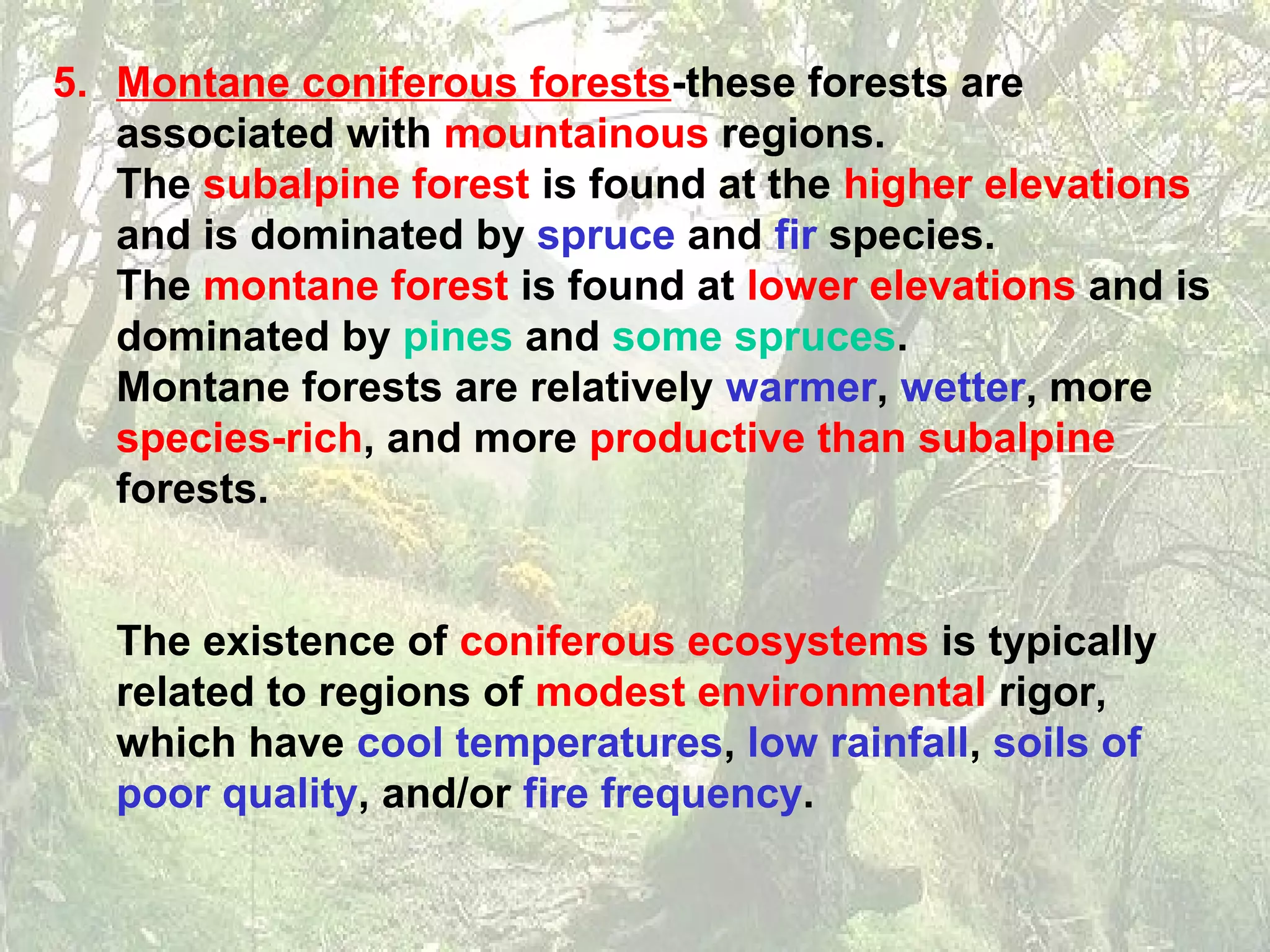 12 forests | PPT