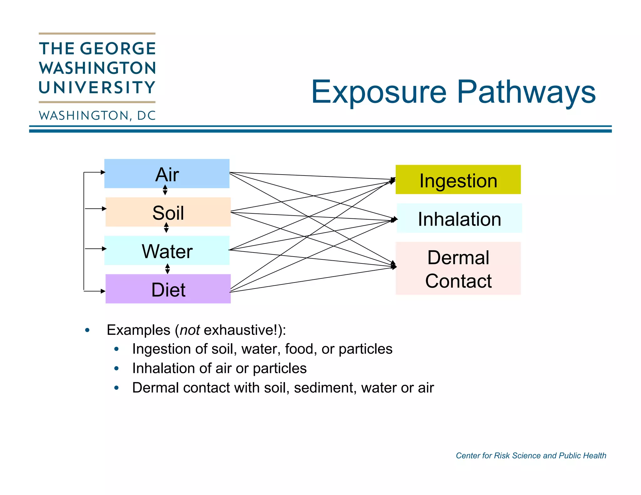 Exposure Assessment, George Gray | PDF