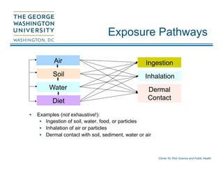 Exposure Assessment, George Gray | PDF