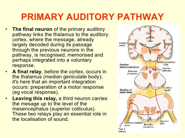 12. hearing system-08-09