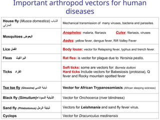 12- helminths and Arthropodes parasites.ppt