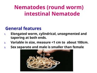 12- helminths and Arthropodes parasites.ppt